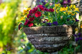 Bargoed in Bloom - Bargoed Town Council Bargoed Town Council
