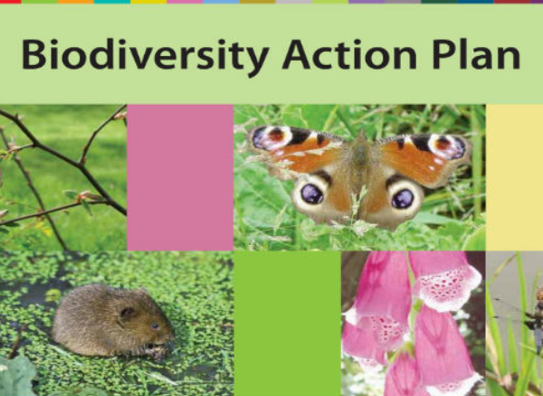 Biodiversity Report and Action Plan Published - Bargoed Town Council ...